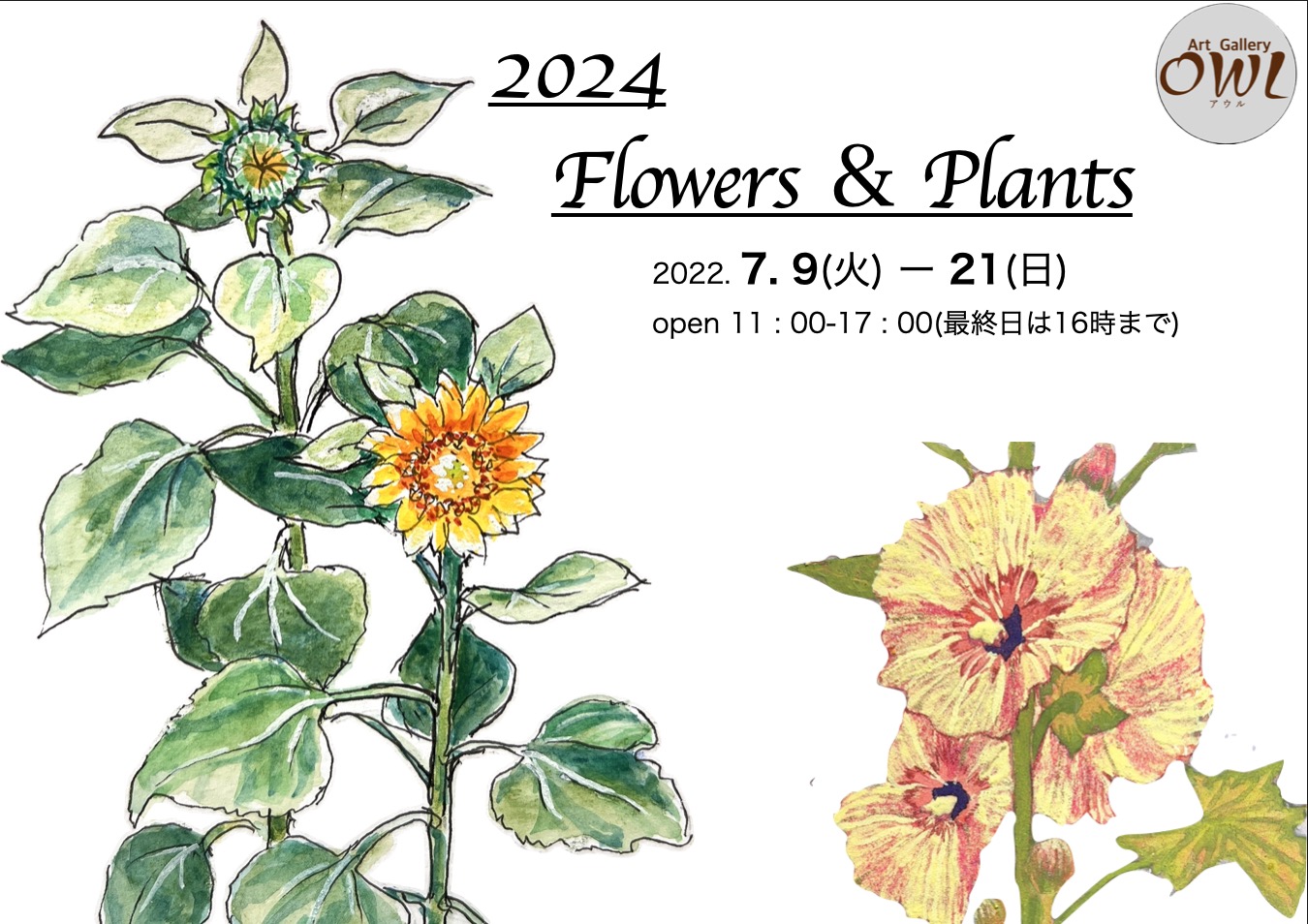 2024 Flowers & Plants 展 2024/7/9(火)-7/21(日) 11:00-17:00 | アートギャラリー ・アウル